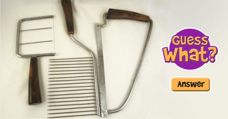 Guess What These Tools Are Used For? | DoYouRemember?