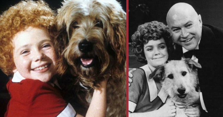 Celebrating 40 Years Of The Most Beloved Red-Headed Little Orphan ...