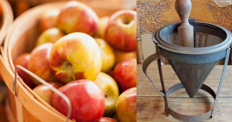16 Apple (The Fruit) Facts You Probably Didn't Know | DoYouRemember?