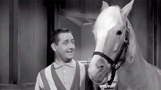 Mr. Ed, The Talking Horse: 24 Fascinating Facts
