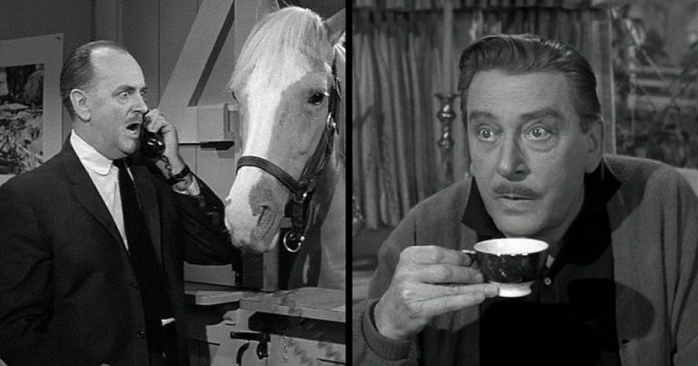 Mr. Ed, The Talking Horse: 24 Fascinating Facts