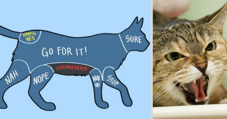 18 Diagrams That Perfectly Illustrate How To Pet Animals Properly ...