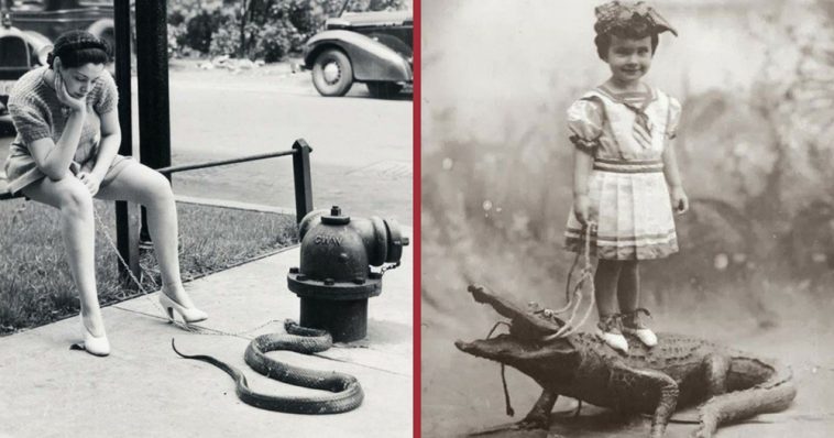 There's Absolutely Nothing Normal About These 20 Unexplained Vintage ...