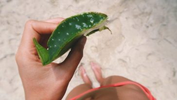 11 Bizarre Home Remedies Our Grandparents Used That Actually Work