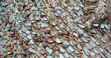 15 Strange Objects From The Past That Look Practically Unrecognizable Today | DoYouRemember?