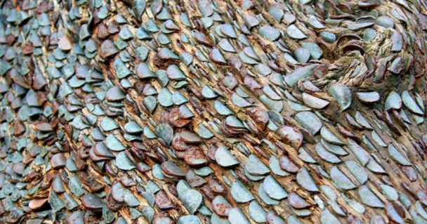 15 Strange Objects From The Past That Look Practically Unrecognizable Today | DoYouRemember?