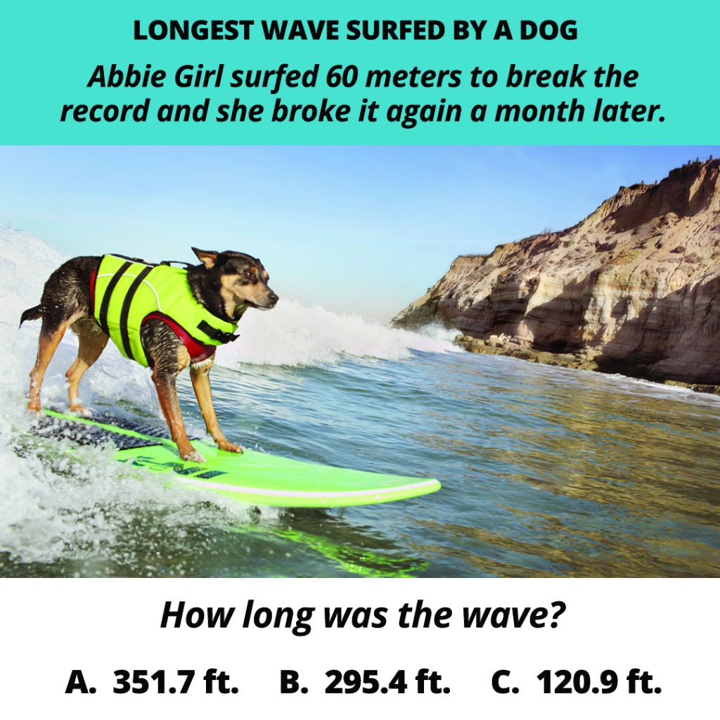 Guinness World Records - Longest Wave Surfed by a Dog | DoYouRemember?