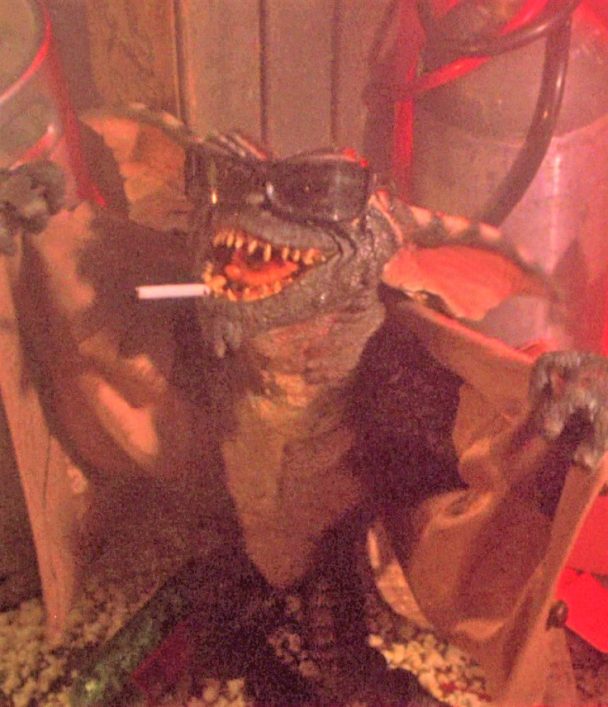 10 Fun Facts You Might Not Know About The '80s Christmas Classic Movie ...