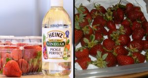 Try These 4 Steps To Keep Your Strawberries From Spoiling