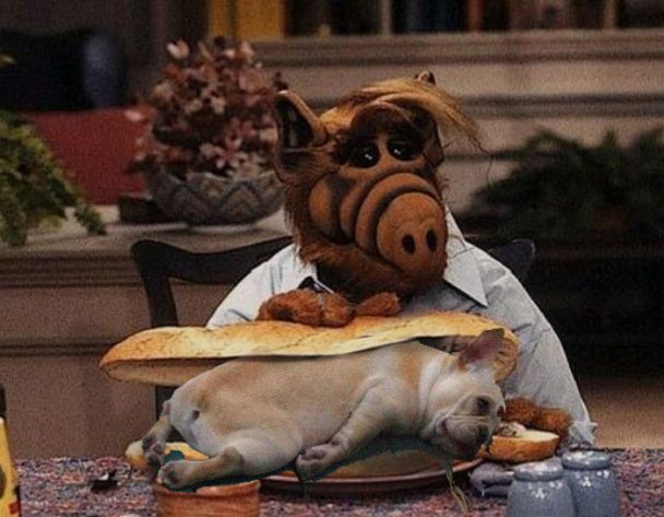 What’s Wrong with this Scene from ALF? | DoYouRemember?