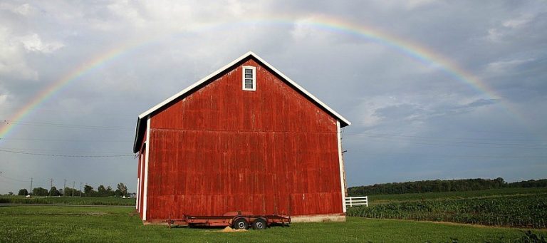 Barns Are Painted Red For A Reason And It's Not What You Would Expect ...