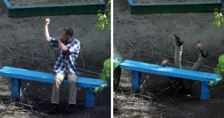 A Photographer Spends A Decade Photographing Same Bench, Capturing More ...