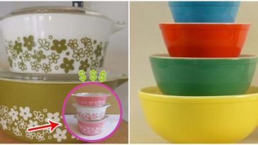 $1,500 For A Set Of Tupperware Tumblers With Rare "Tupper!" Insignia ...