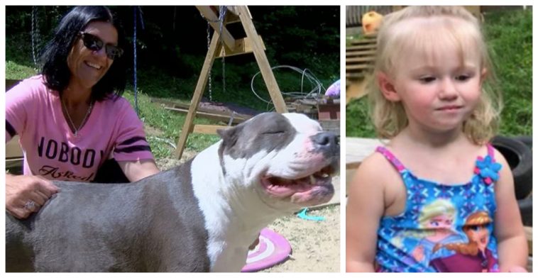 Missing 2-Year-Old Was Found Safe With the Family Pit Bull By Her Side