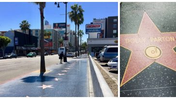 16 Vintage Drivers' Licenses Of Famous People | Do You Remember?
