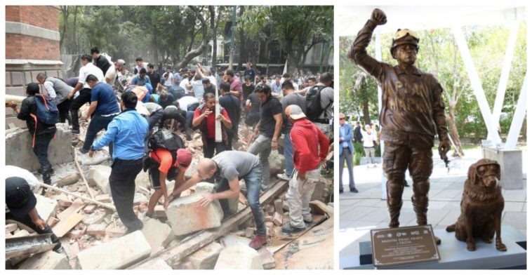 Rescue Dog Receives Statue After Saving 12 People