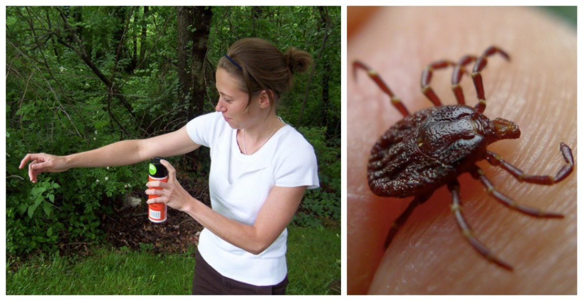5 Tips On How To Protect Yourself From Ticks This Summer