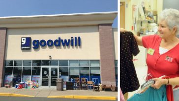 15 Outrageously Valuable Treasures Found In Thrift Stores | Do You ...