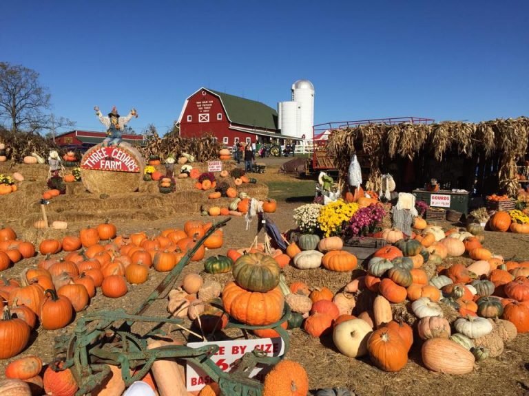 Obsessed With Pumpkins? Visit These 24 Amazing Pumpkin Farms