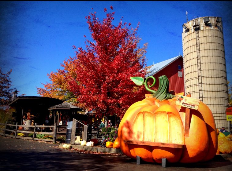 Obsessed With Pumpkins? Visit These 24 Amazing Pumpkin Farms
