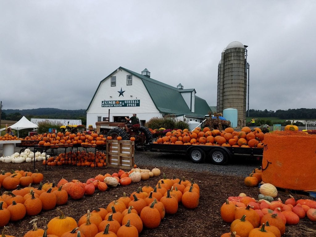 Obsessed With Pumpkins? Visit These 24 Amazing Pumpkin Farms