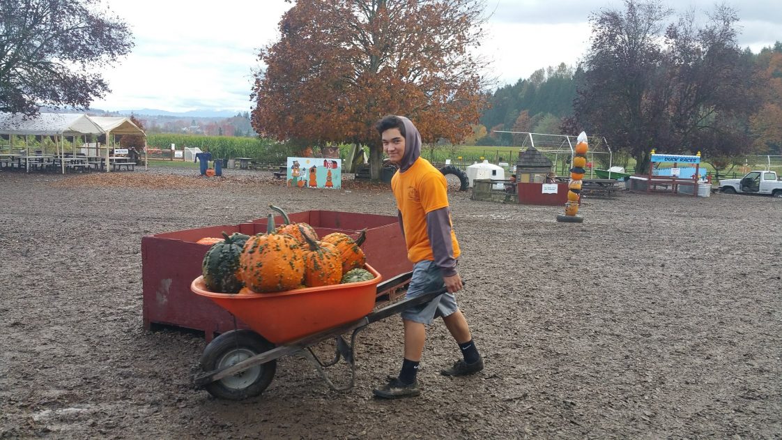 Obsessed With Pumpkins? Visit These 24 Amazing Pumpkin Farms