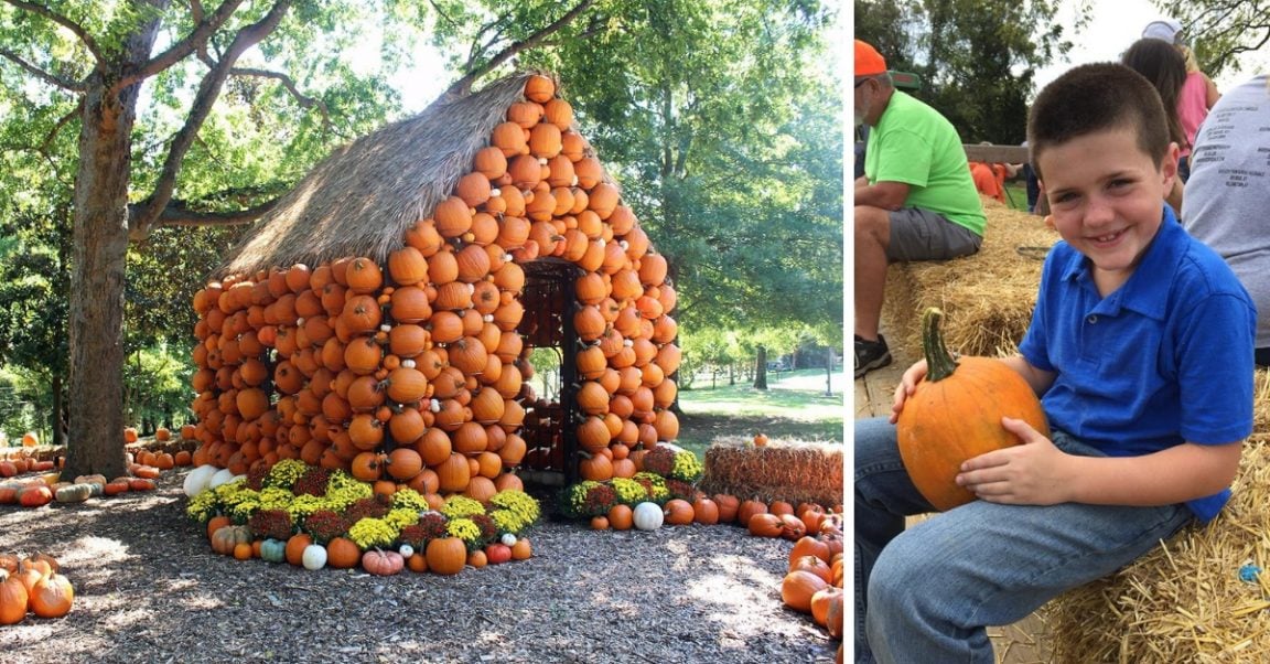 Obsessed With Pumpkins? Visit These 24 Amazing Pumpkin Farms