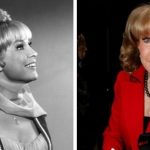 "Old Coots" Gang Sets Up Table At A Farmer's Market To Give Out Life Advice