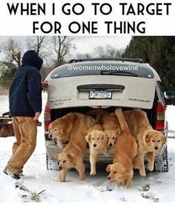 11 Hilarious Target Jokes That Are Just Too Relatable