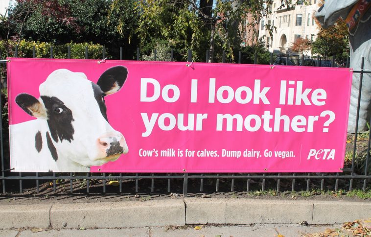 Peta Sign