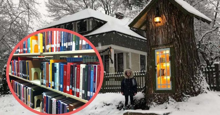 A 110-Year-Old Tree Is Now A Tiny Free Library For Nearby Residents