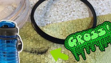 How To Clean Your Keurig To Avoid Mold And Bacteria