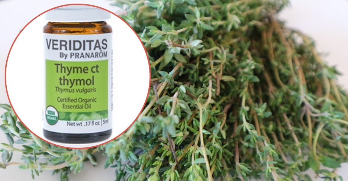 Thyme Is The Perfect Natural Remedy For Fighting Strep Throat, Flu, And ...