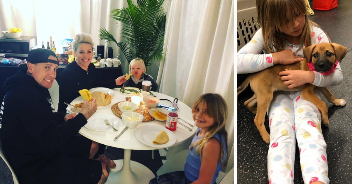 Singer Pink Recently Added A New Addition To Her Family