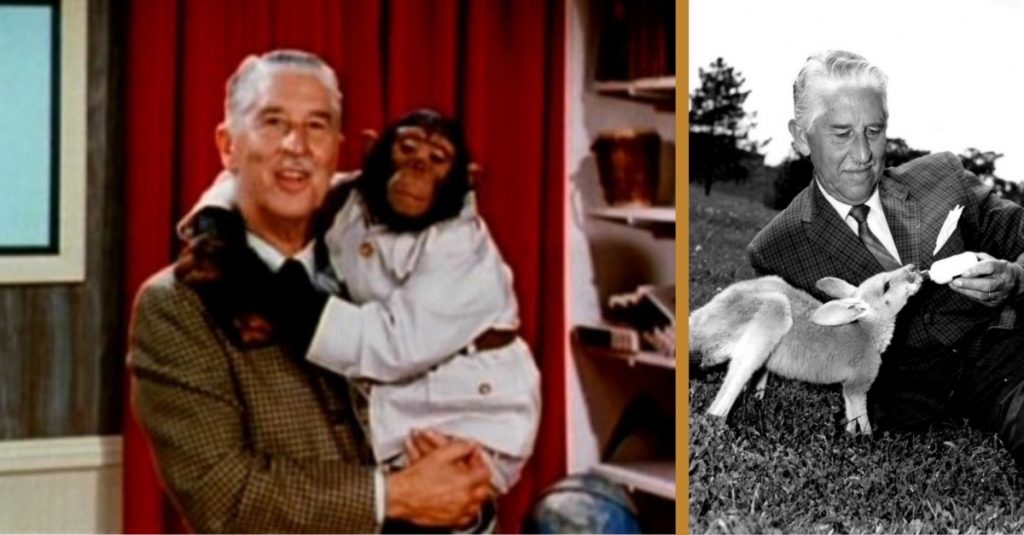 Memorable Moments In Marlin Perkins' 'Mutual Of Omaha's Wild Kingdom'