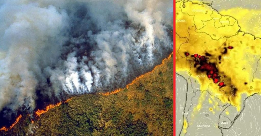 The Amazon Rainforest Is Burning In Brazil -- Here's What You Can Do
