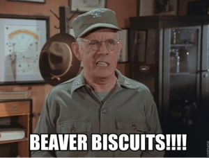 Ten Hilarious M*A*S*H Memes The Most Diehard Fans Will Understand