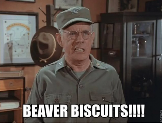 Ten Hilarious M*A*S*H Memes The Most Diehard Fans Will Understand