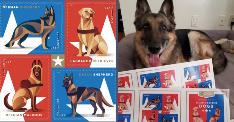 U.S. Postal Service Is Offering Military Working Dog Stamps