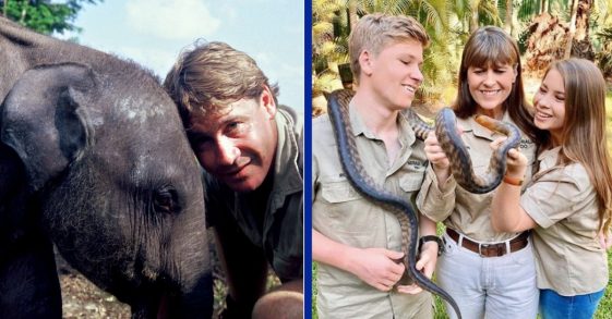 Irwin Family Opens Elephant Sanctuary, One Of Steve Life-Long Dreams