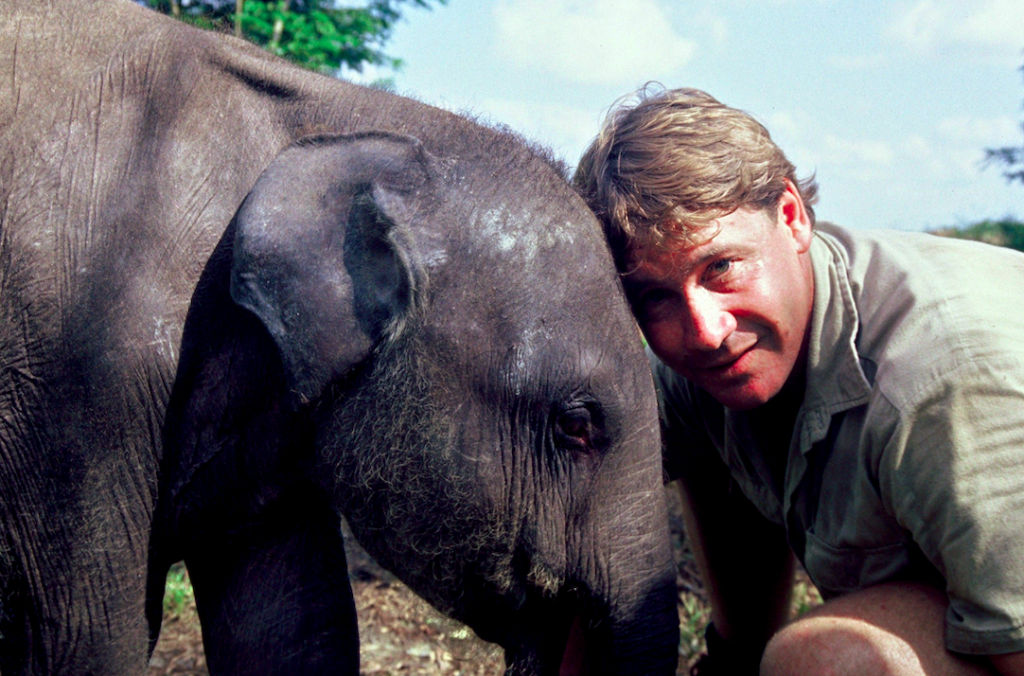 Irwin Family Opens Elephant Sanctuary, One Of Steve Life-Long Dreams