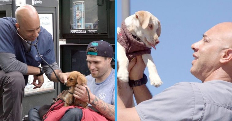 A Californian Veterinarian Is Treating Homeless People's Pets For Free