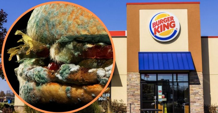Why Is Burger King Advertising A Moldy Whopper?
