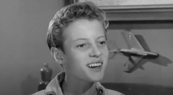 Ken Osmond, From Child Actor In Hollywood To Shooting Trauma In LAPD
