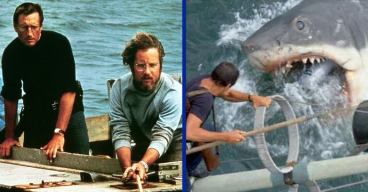 How The 1975 'Jaws' Film Became A Thriller Classic