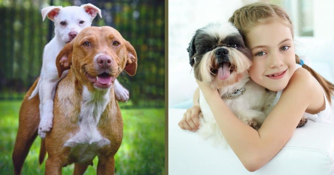 Research Shows Children Who Grow Up With Dogs Are Better Behaved
