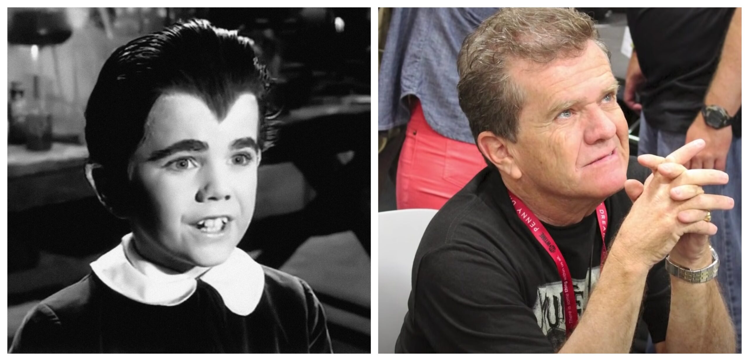 Taking A Look At 'The Munsters' Cast Then And Now 2020