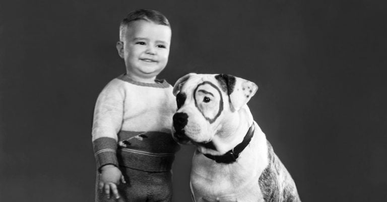 The Little Rascals' dog Petey Poisoned, what happened