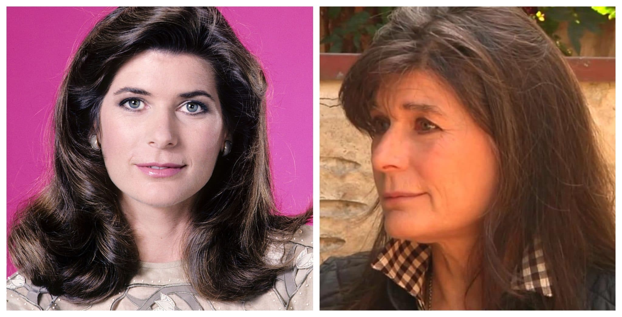 The 'Knight Rider' Cast Then And Now 2024: See Them All