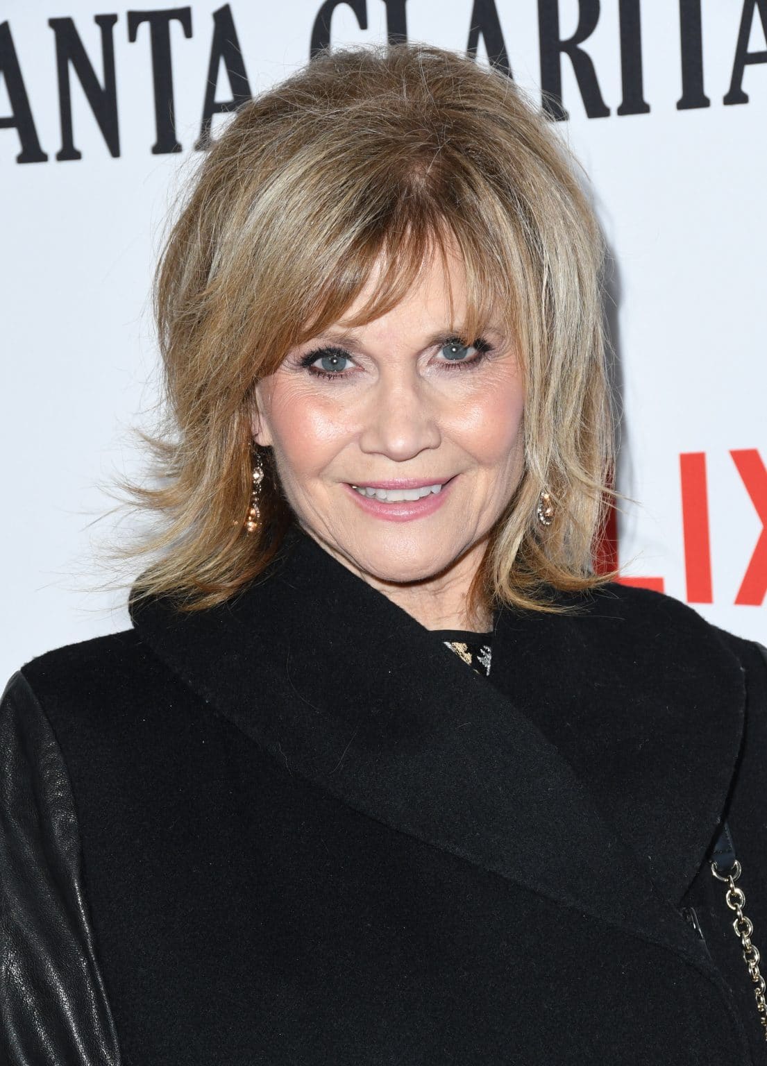 'The Fall Guy Cast — Lee Majors and the Rest, Then and Now — 2024